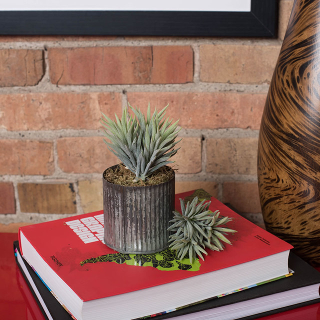 Vickerman 5" Seneco, Set of 3, 5" - Contemporary - Artificial Plants ...
