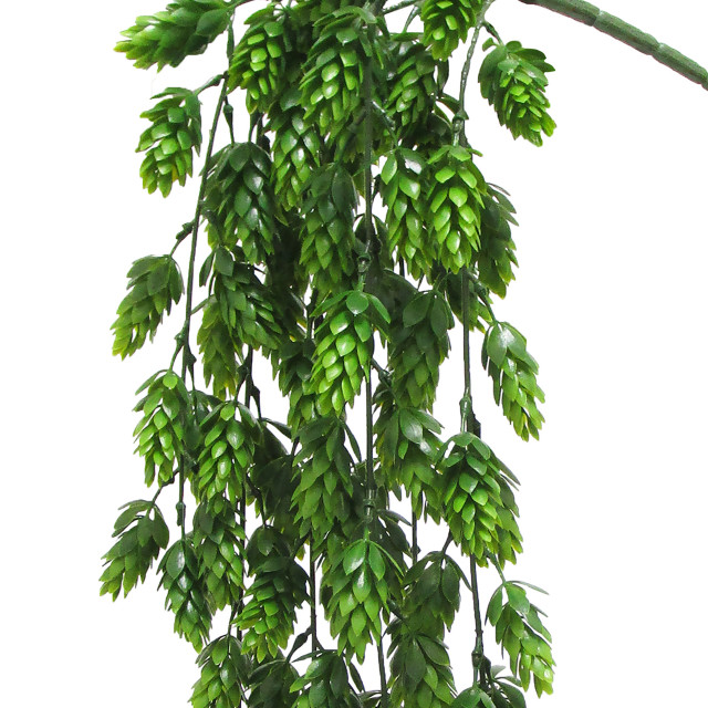 Set of 2 Artificial Pine Hops Leaf Hanging Plant Greenery Foliage Bush ...
