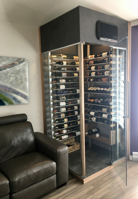 Inspiration pour aménagement salon - Contemporáneo - Bodega - Otras ...