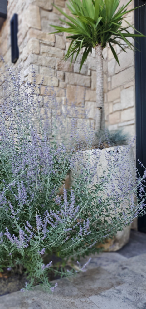 Black Oak Mountain Vineyards - Midcentury - Landscape - Sacramento - by ...