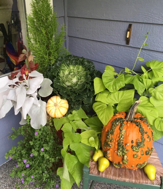 12 Fresh Fall Container Designs for Your Home and Garden