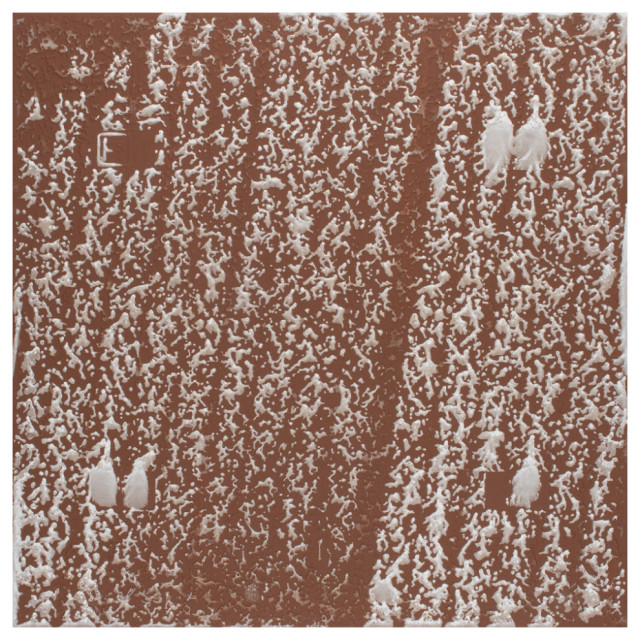 Kings Blume Encaustic Ceramic Floor and Wall Tile, Blue, Sample ...