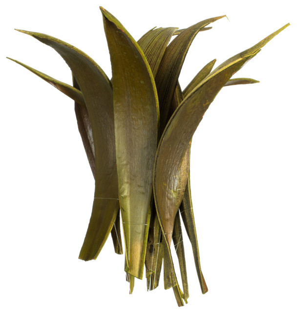 Vickerman H2PAM100-1 6-12" Basil Palm Paddles, Includes 32-37 pieces ...