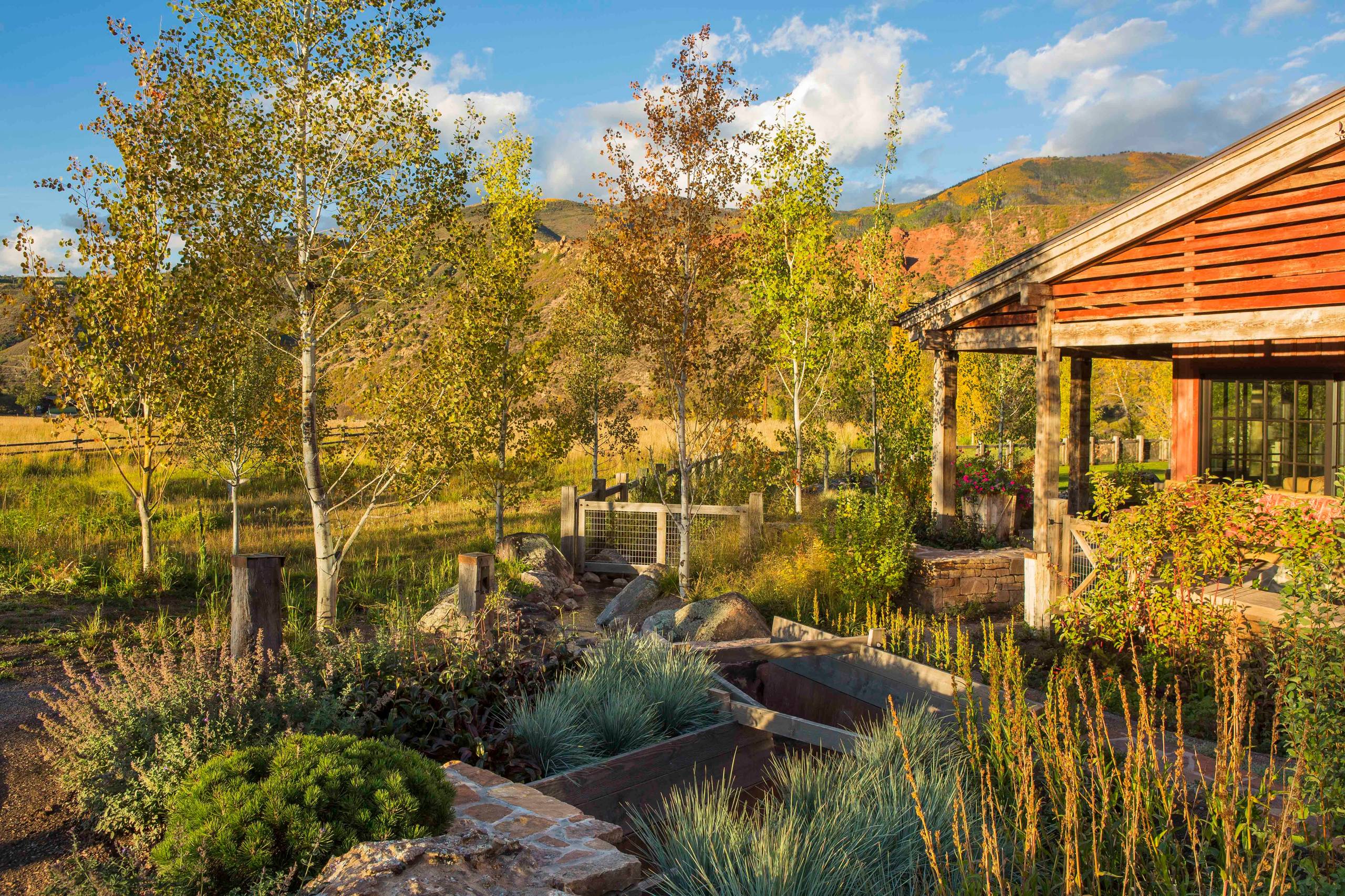 Colorado Style Landscaping A Comprehensive Guide To Colorado Landscape