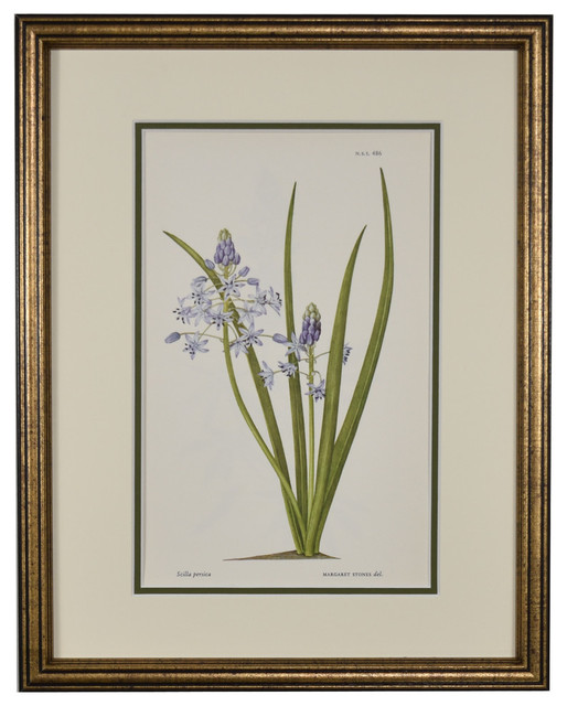 Original Vintage 1968 English Botanical Prints, Set of 2 - Traditional ...