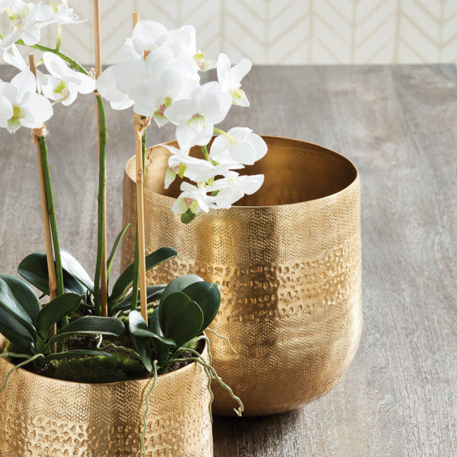 Emberlynn Cachepot Large - Contemporary - Indoor Pots And Planters - by ...