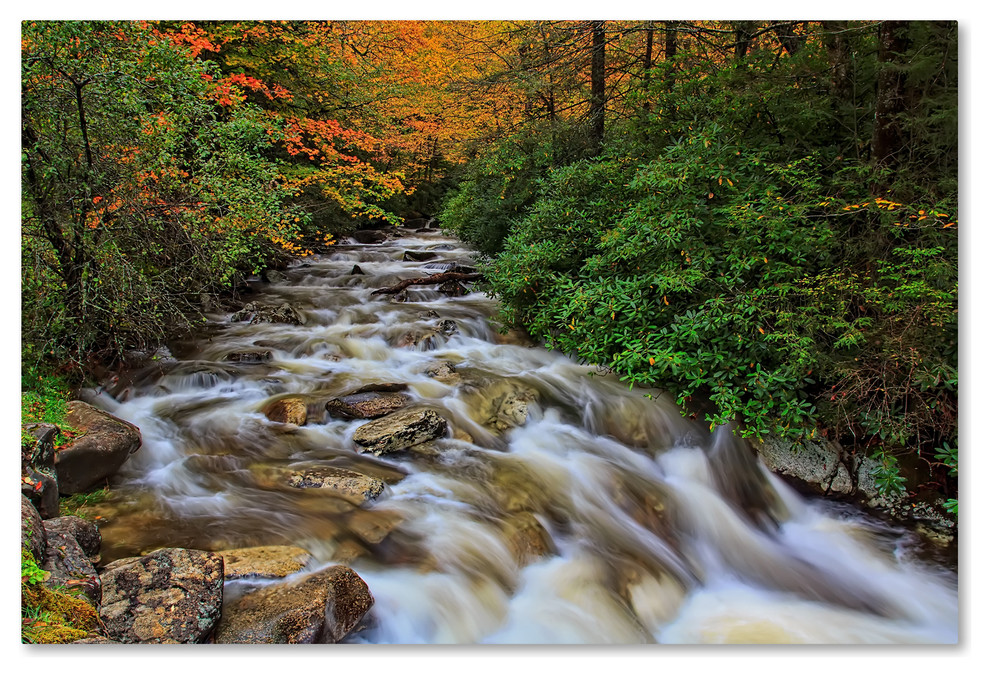 Bob Rouse 'Fall Rapids 2' Canvas Art - Rustic - Prints And Posters - by ...