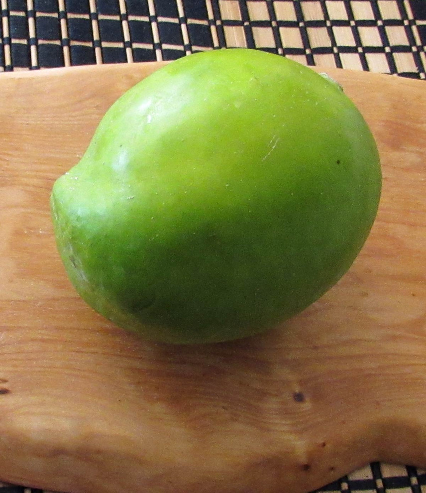 White Sapote Season at my house