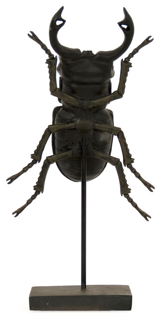 Stag Beetle On Stand, Large - Contemporary - Decorative Objects And ...