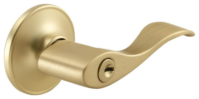 Design House Springdale Brass Gold Door Lever - Traditional - Door ...