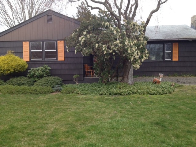 Dark brown ranch need idea for shuttre color