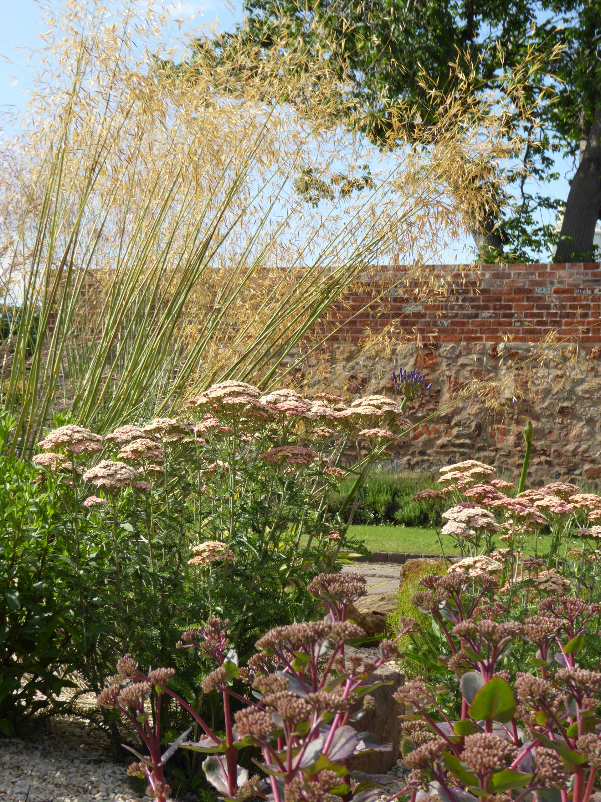 19 Gardens Where Grasses Are Key | Houzz UK
