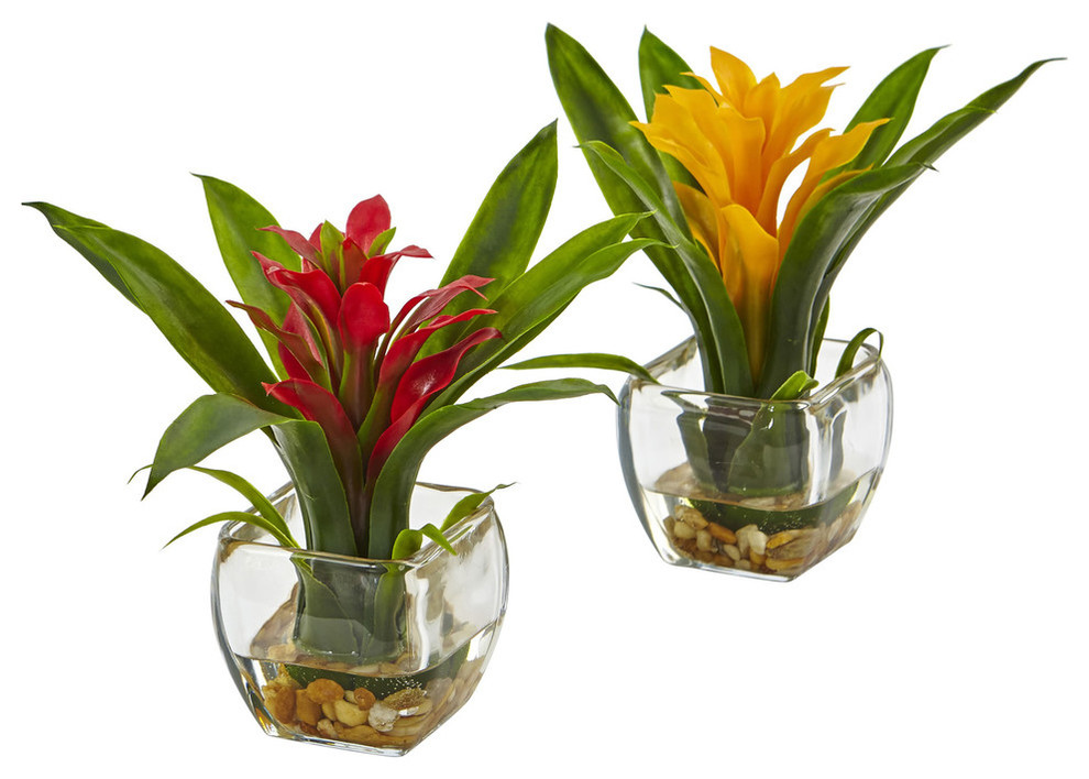 Bromeliad Pair With Glass Vase Arrangement in Red and Yellow, Set of 2 ...
