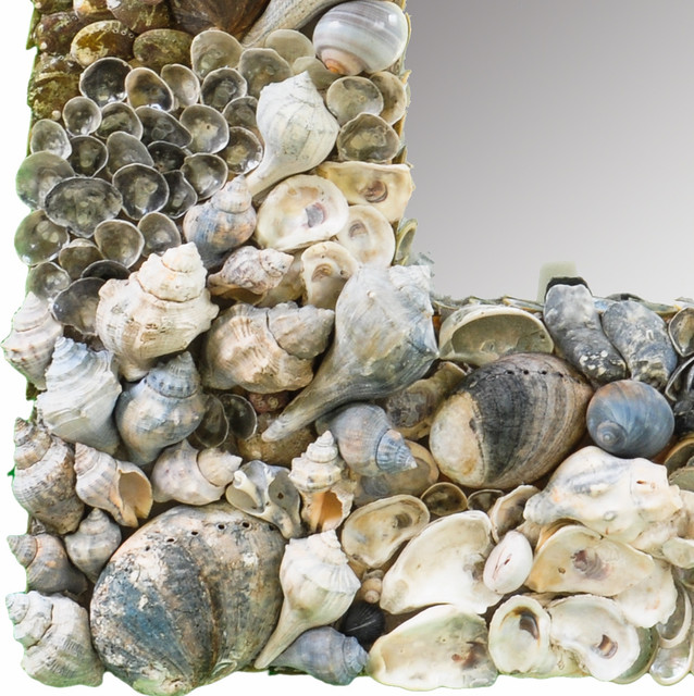 Large Pen Abalone SeaShell Mirror. Only one. - Beach Style - Wall ...
