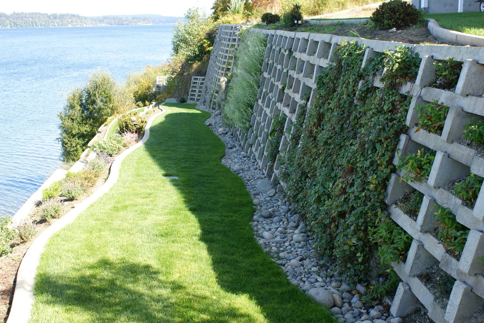 Before and After and Project Photos Landscaping and Tree Removal ...