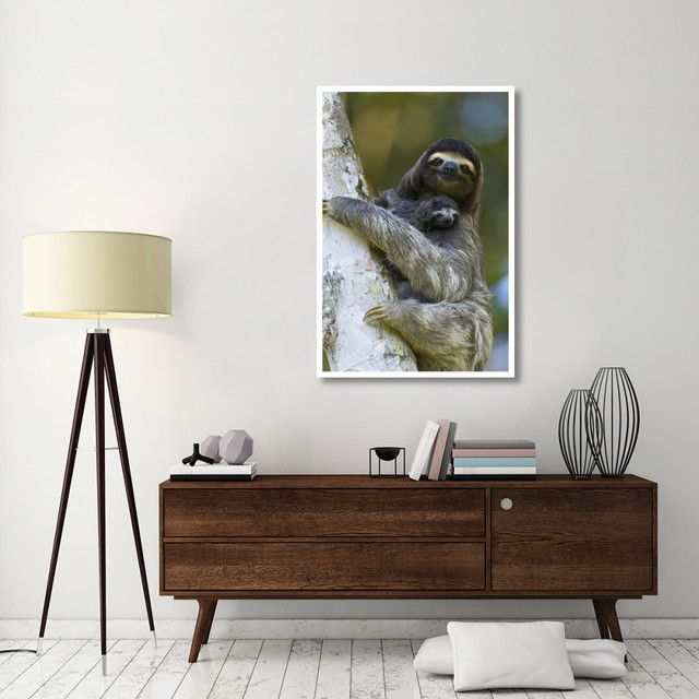 "Brown-throated 3-toed Sloth, baby, Aviarios Sloth Sanctuary" Paper Art ...