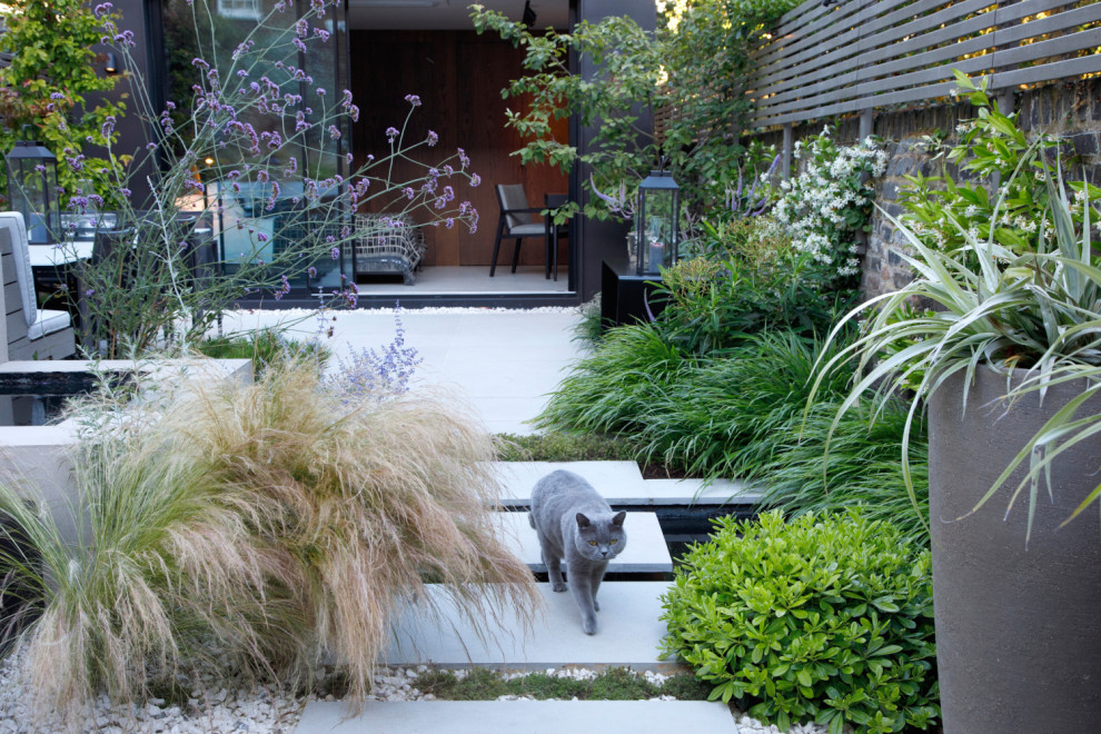Stockwell - Contemporary - Garden - by Emma O'Connell Garden Design ...