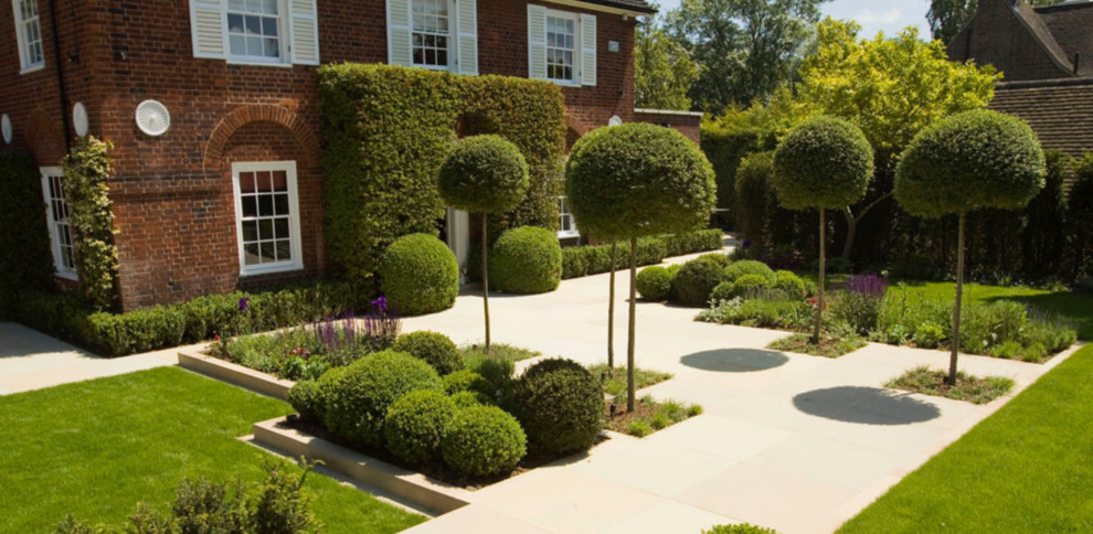 Privacy Trees along Fence line