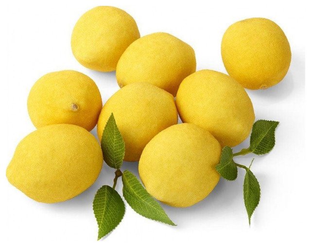 Decorative Lemons with Leaves, Set of 48 - Farmhouse - Decorative ...