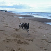 ERIN MORENG - Project Photos & Reviews - Verona, NJ US | Houzz