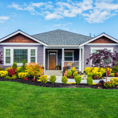 Whole Home Renovation