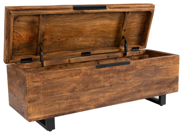Zoe Storage Trunk Honey Brown - Industrial - Decorative Trunks - by ...