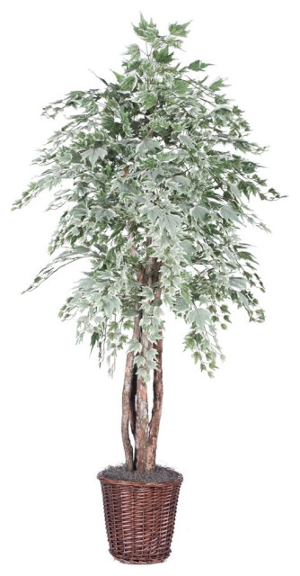 Vickerman TEX1670 7' Artificial Silver Maple Executive Rattan Basket ...