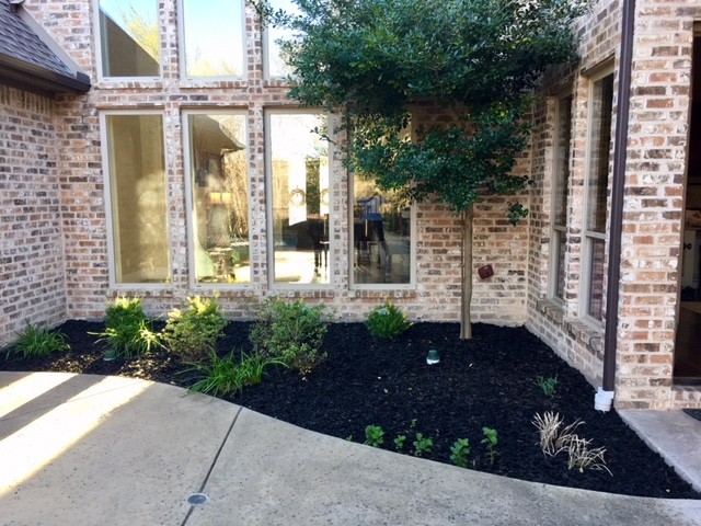 backyard- how to fill empty space?