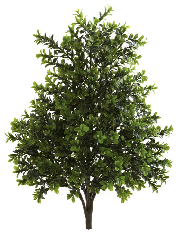 Sweet Grass Bush Arrangements, Set of 2, Indoor/Outdoor - Traditional ...