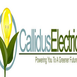 CALLIDUS ELECTRIC - Project Photos & Reviews - Henderson, NV US | Houzz