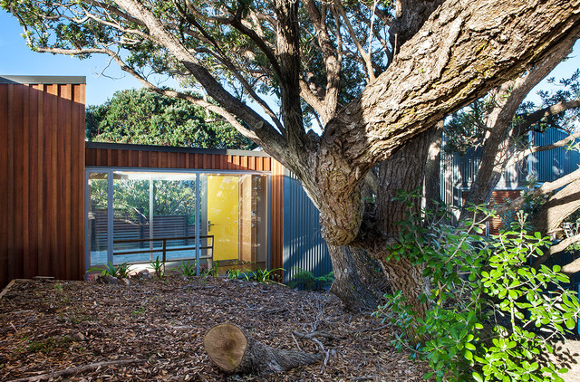 Building Near Trees? Read This First | Houzz AU