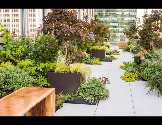 Park Ave Green Roof Terrace - New York - by Evan C Lai Landscape Design Inc
