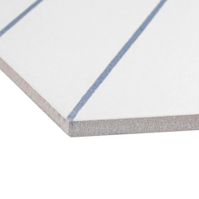 Porto Savona Hex Floor and Wall Tile, Niagara, Sample - Contemporary ...