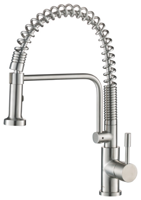 Isenberg K.1200 Caso, Dual Spray Stainless Steel Kitchen Faucet With ...