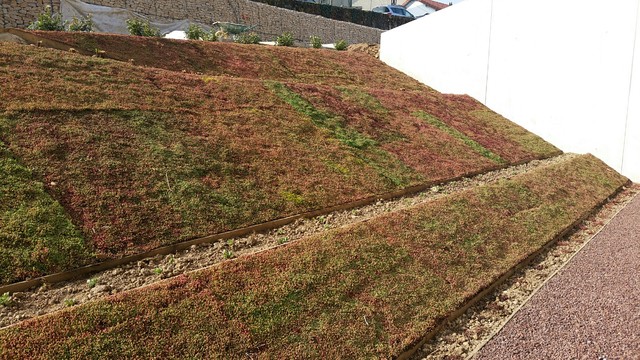 Stabilisation de talus - Autres périmètres - par ECOVEGETAL | Houzz