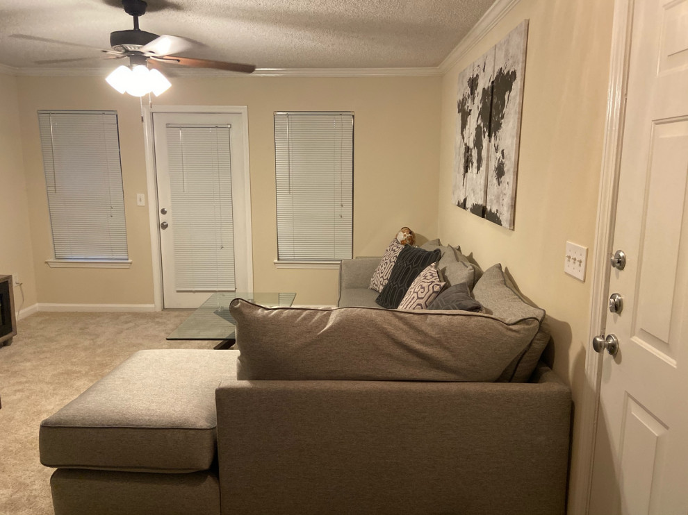 Help decorate apartment for a male | Houzz Forum
