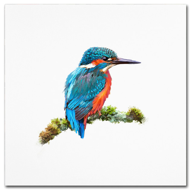 The Macneil Studio 'Kingfisher 1' Canvas Art, 24"x24" - Contemporary ...