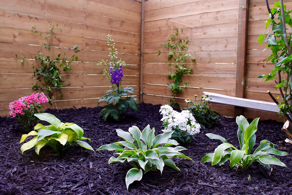 Garden Design and Maintenance - Landscape - Toronto - by Spruced Up | Houzz