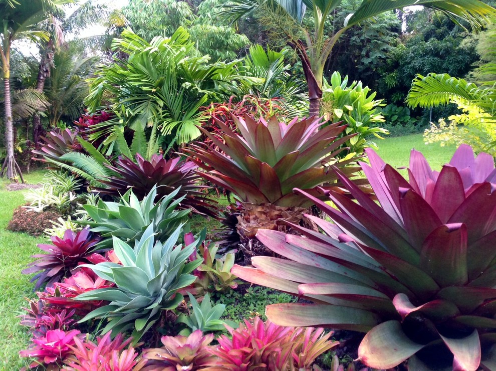 Big Island Botanical Retreat - Tropical - Landscape - Hawaii - by ...