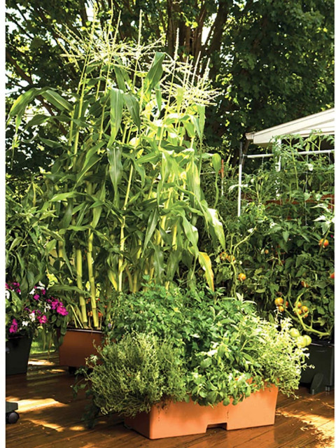 Novelty (#80155) EarthBox Natural Garden Kit - Terra Cotta ...