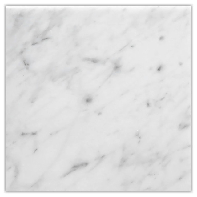 White Carrara Polished 6x6 Marble Tile, 6x6 - Traditional - Wall And ...