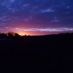 COLIN MEAGHER - Project Photos & Reviews - Wellesley, MA US | Houzz