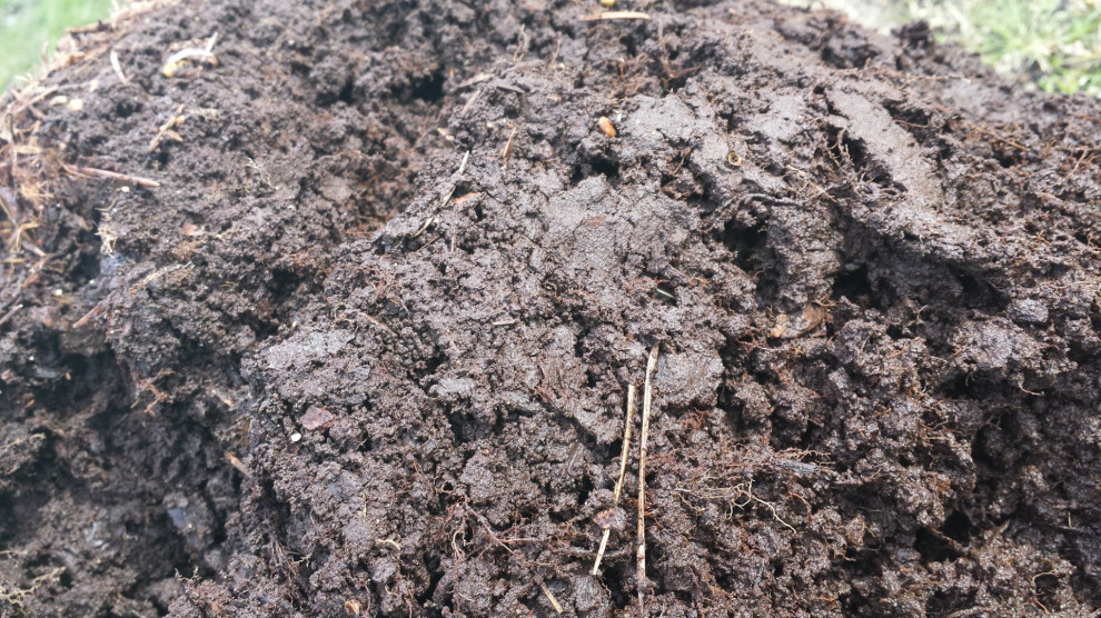 How Did Bark + Turface Rhododendron Soil Turn Into Mud?