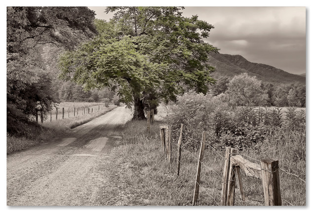 Bob Rouse 'Country Lane' Canvas Art, 16"x24" - Farmhouse - Prints And ...