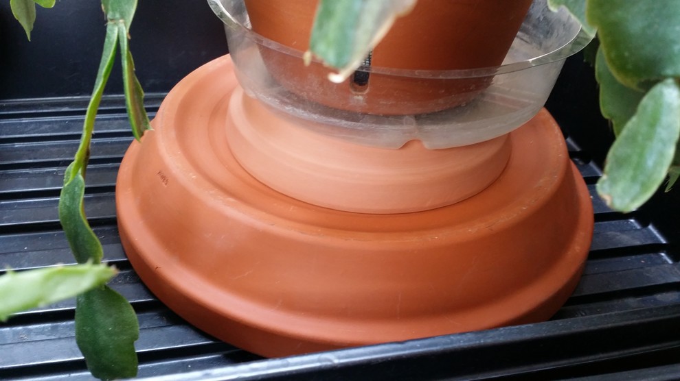 Raising pots - small DIY pot stands?