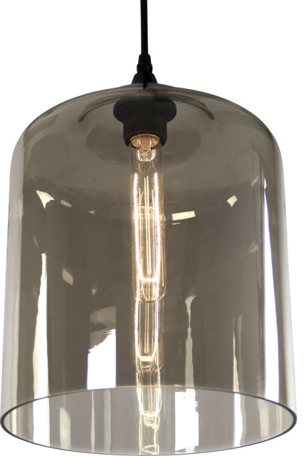 Zara Hanging Light - Contemporary - Pendant Lighting - by HedgeApple ...
