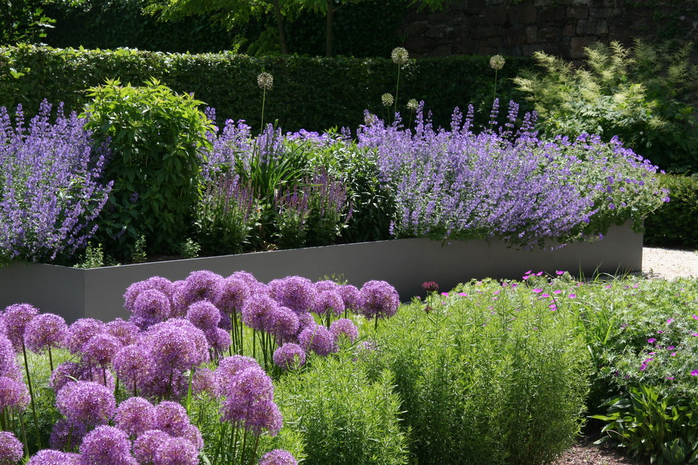 Staudengarten am Pfarrhaus Bad Hersfeld: Allium, Nepeta, Salbei und ...