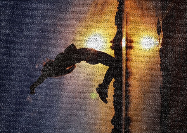 Jumping In The Sunset Area Rug, 5'0"x7'0" - Contemporary - Novelty Rugs ...