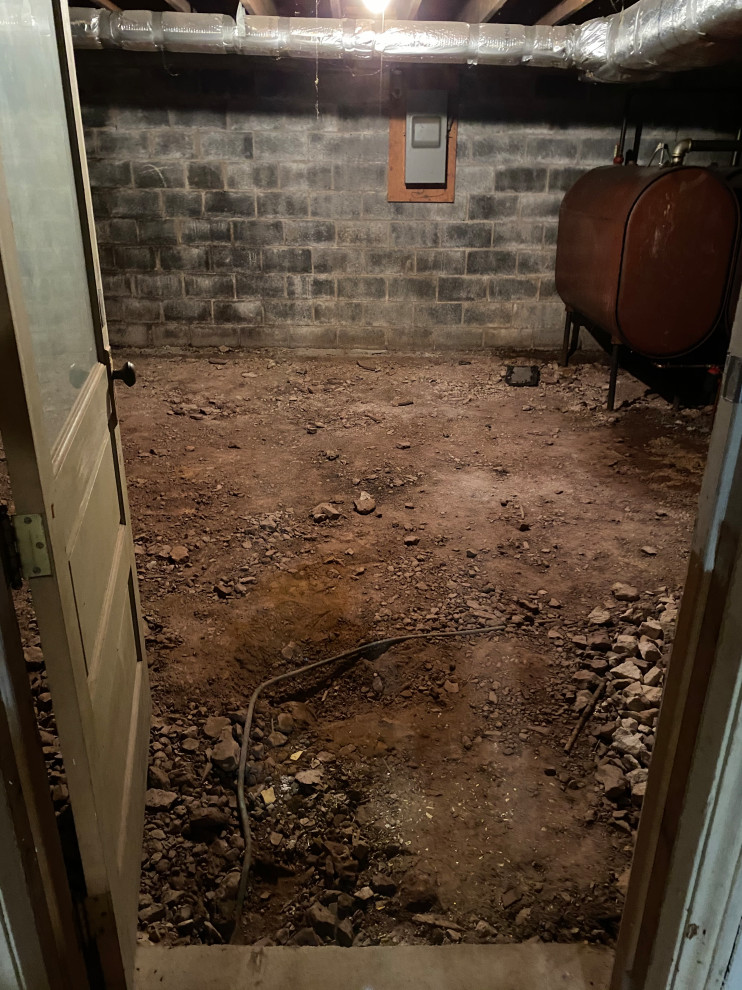 The Monster in the Basement