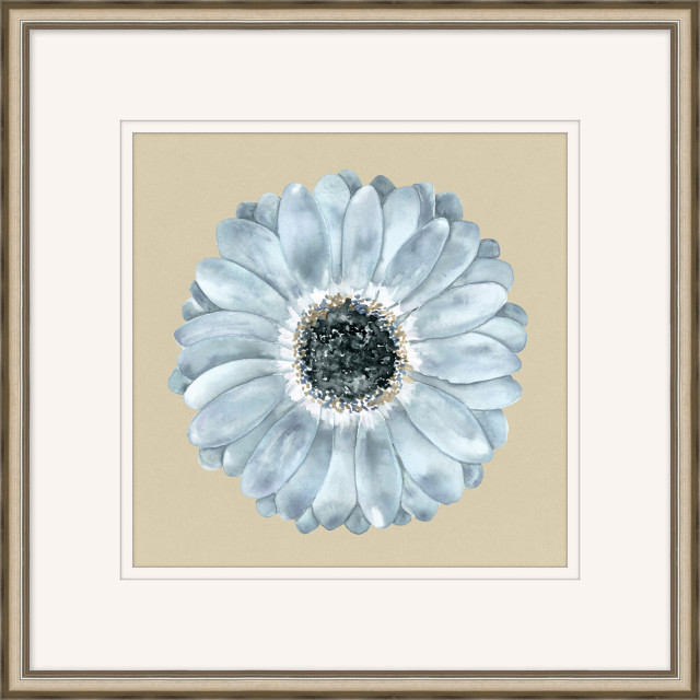 Daisy 1, Giclee Reproduction Artwork, 25.75x25.75 - Traditional ...